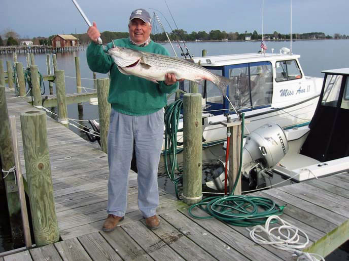 Class Member Links | 1968 US Army Combat Engineer OCS Class Hotel 515